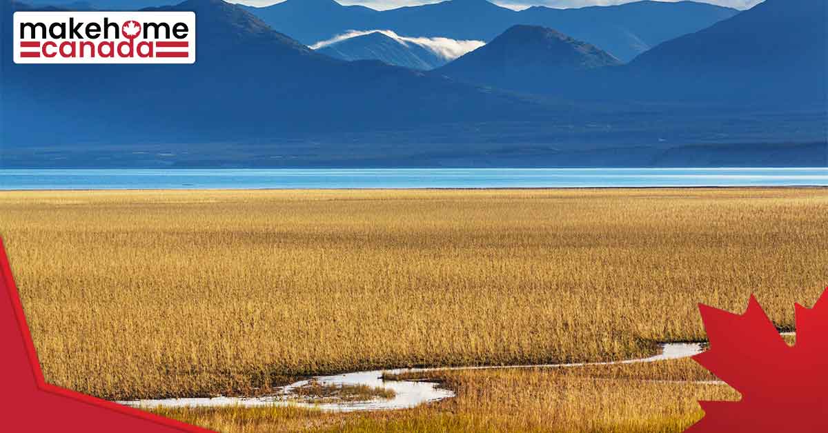 Immigration Levels Plan- Canada to announce the latest targets