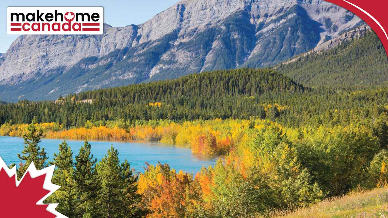 Weekly provincial immigration results of five Canadian provinces